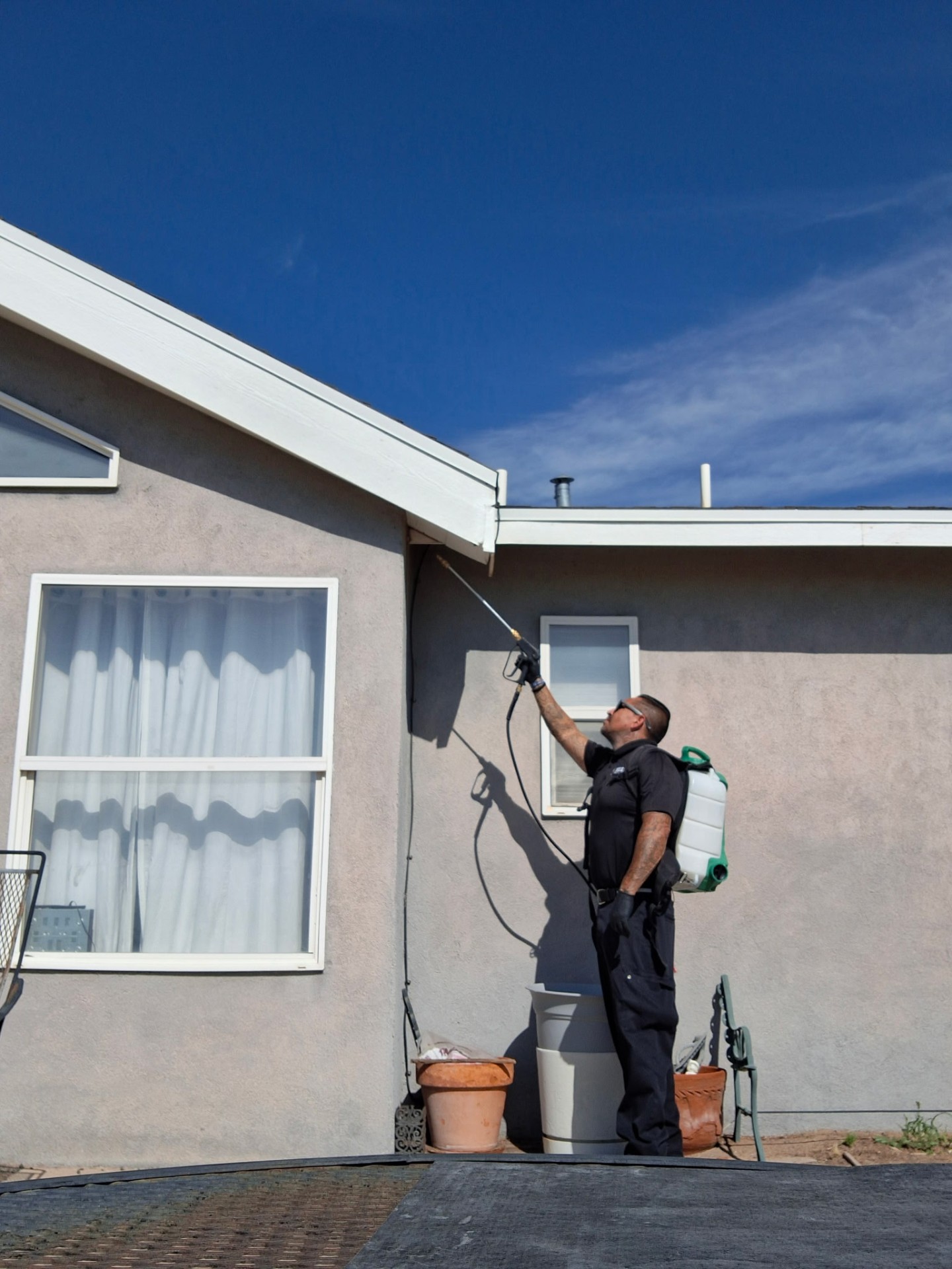 Pest Shield - Professional Pest Control Services in Albuquerque, NM